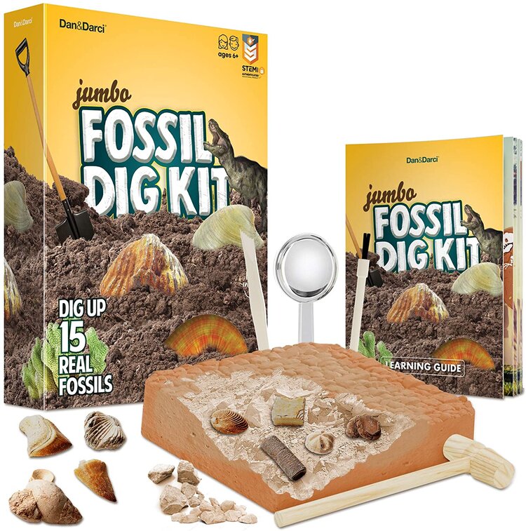 MEGA FOSSIL DIG KIT – The Children's Gift Shop