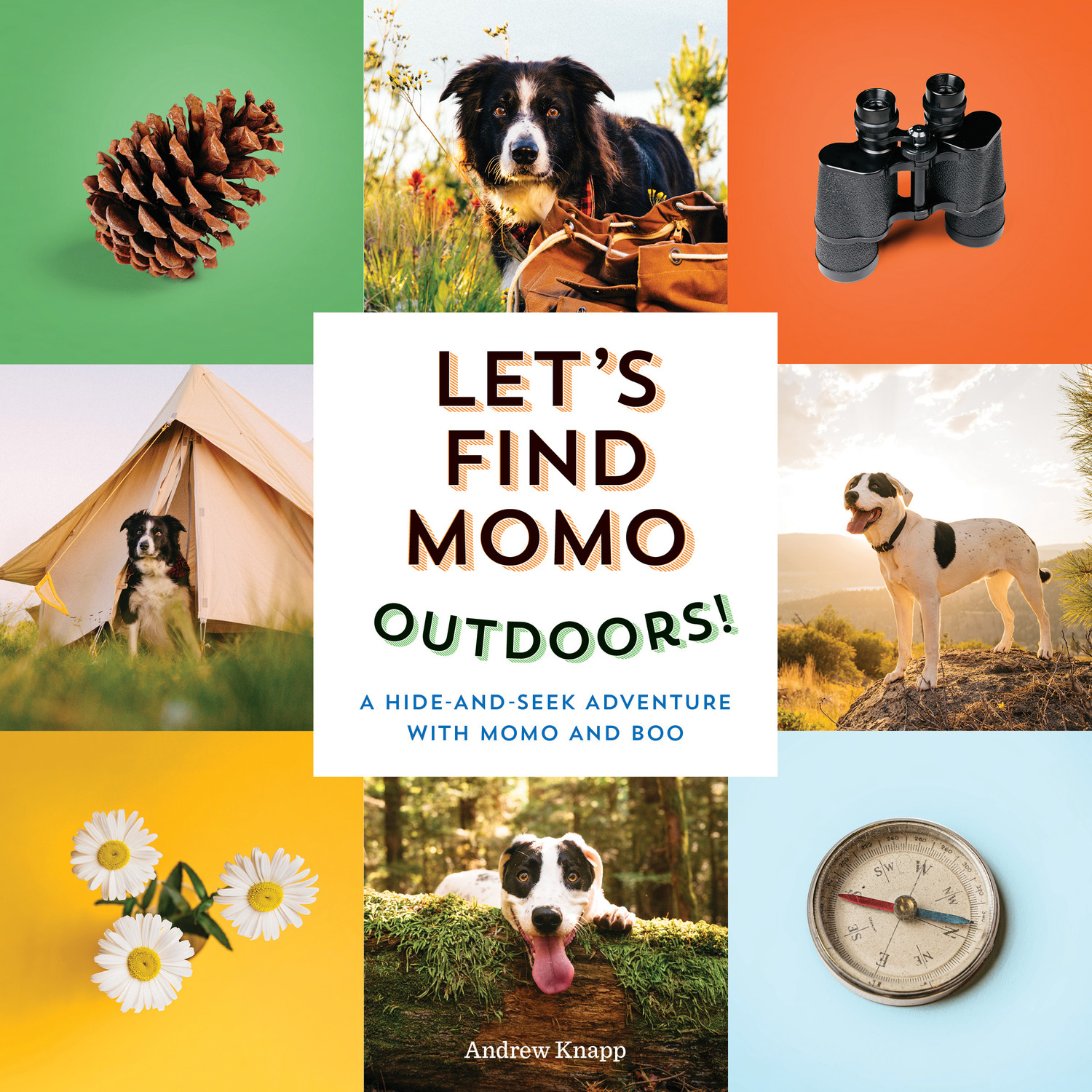 Let’s Find Momo Outdoors!: A Hide-and-Seek Adventure with Momo and Boo ...