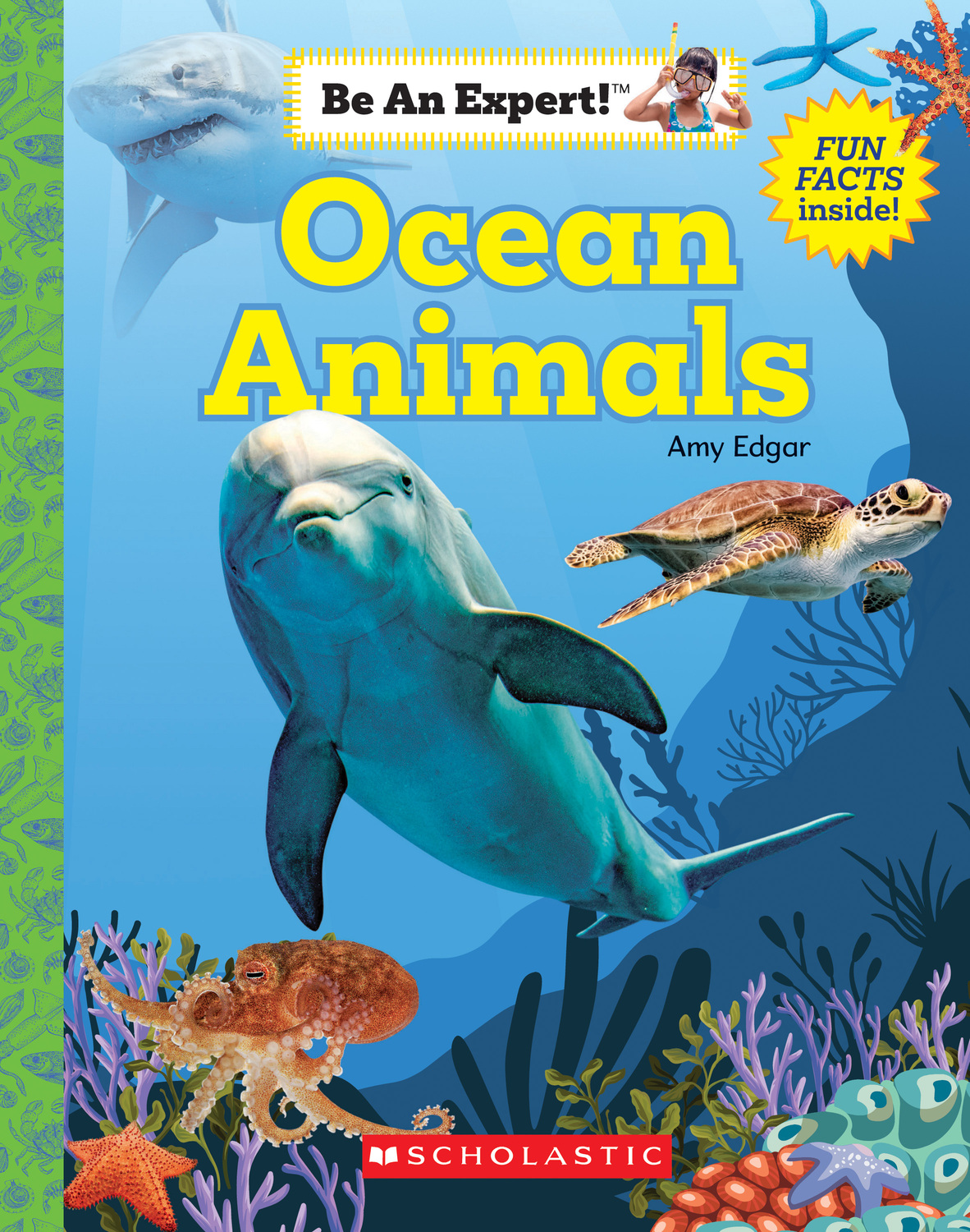 Ocean Animals (Be An Expert!) (paperback) – The Children's Gift Shop