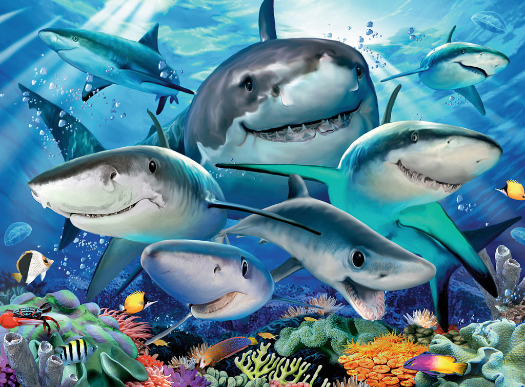 Smiling Sharks – The Children's Gift Shop