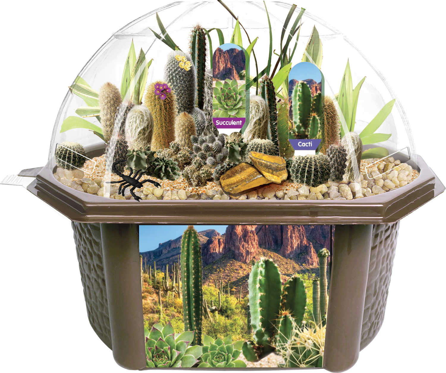 DESERT DOME BIOSPHERE – The Children's Gift Shop