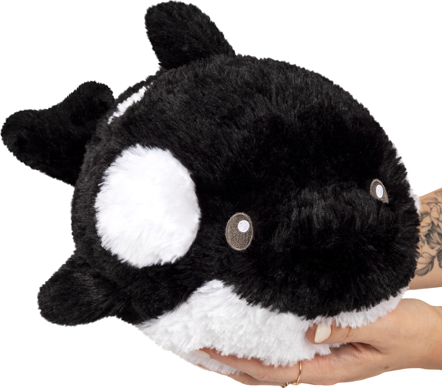 SQUISHABLE MINI ORCA – The Children's Gift Shop