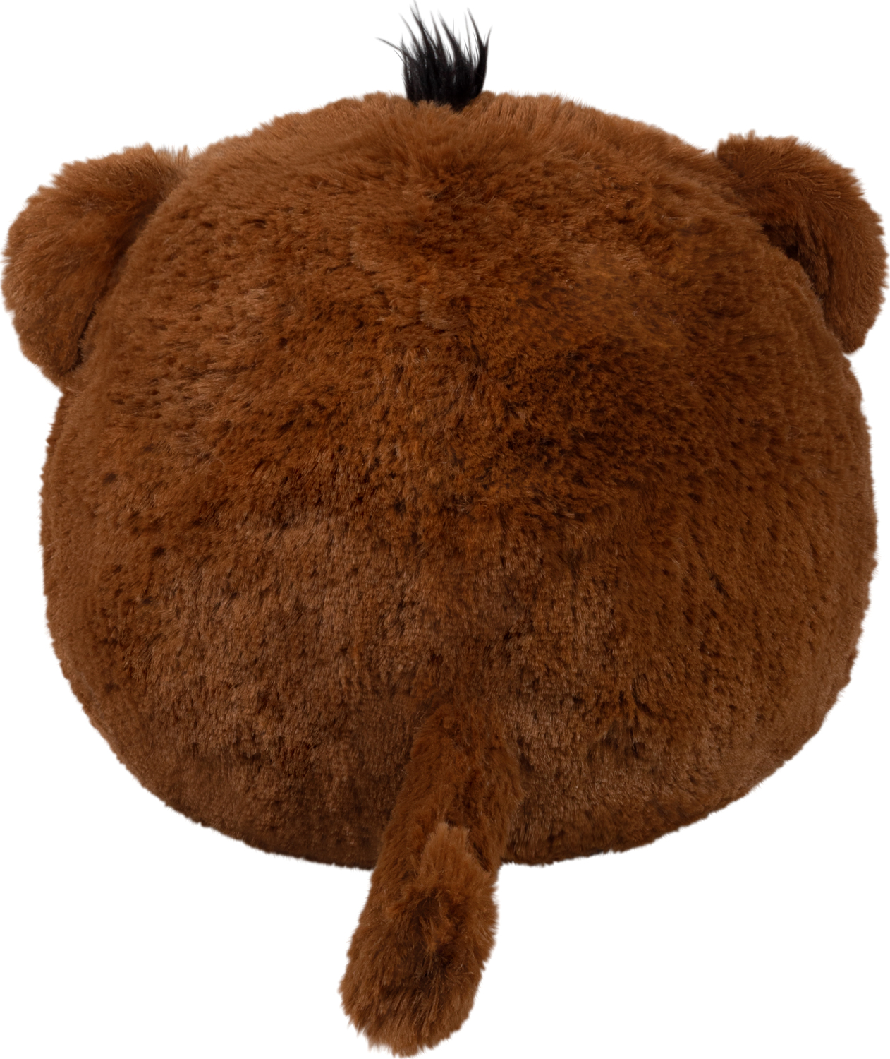 SQUISHABLE MINI MONKEY II – The Children's Gift Shop