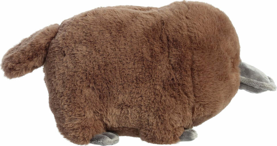 10″ SPUDSTER PLATYPUS – The Children's Gift Shop